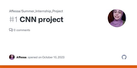 CNN Project Issue Affessa Summer Internship Project GitHub