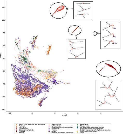 Visualizing The Universe Of Small Biomolecules Lehrstuhl Bioinformatik Jena
