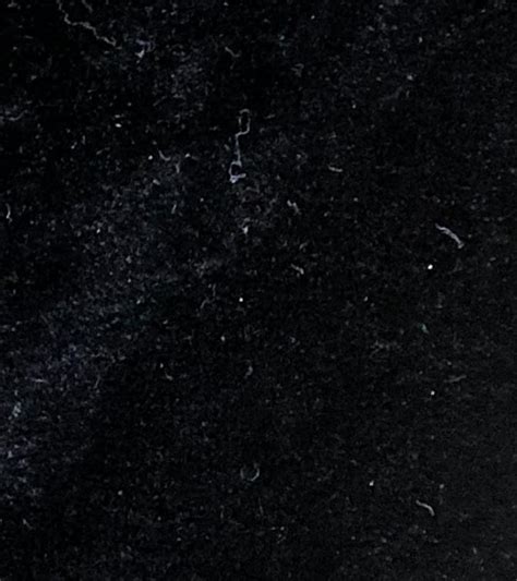 Seed Object Detection Model By Batangas State University