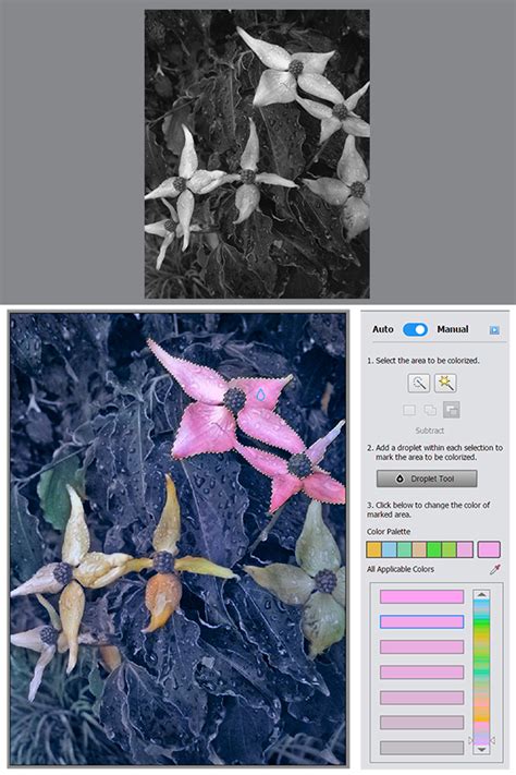 Automatically Colorize Black White Images With Adobe Photoshop Elements Shutterbug