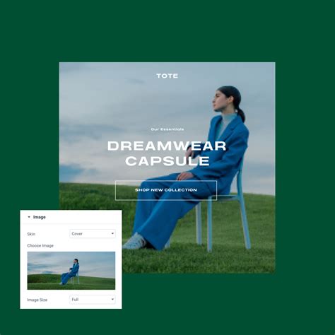 Wordpress Call To Action Button Widget Elementor