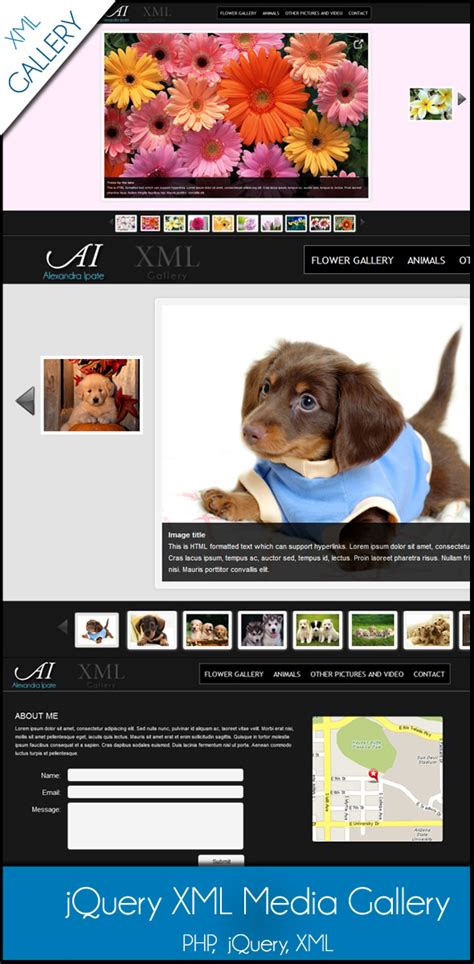 Jquery Xml Media Gallery By Aa Team Codecanyon