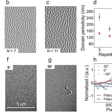The Effect Of Dipolar Interaction On Domain Periodicity And