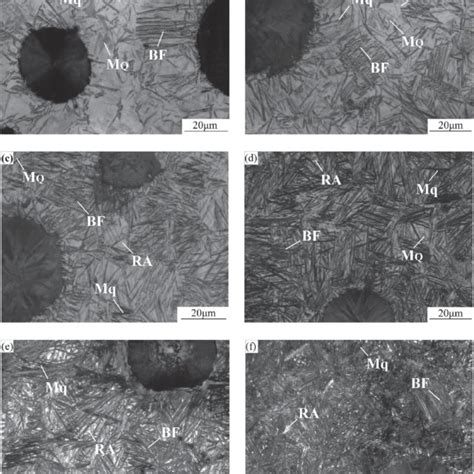 A Om Micrograph Of As Cast Ductile Iron B Sem Micrograph Of