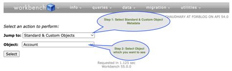 Ultimate Salesforce Workbench Guide Apex Hours