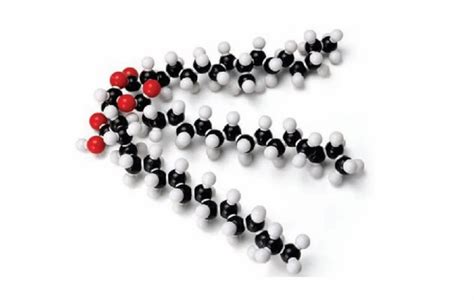 Plastic Molecular Model Set Fat Glyceryl Tristearate C H 0 At ₹ 1250 Piece In New Delhi