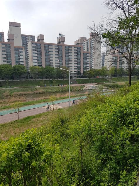 성인대학생중학생고등학생 코딩 과외 레슨 경기도 의정부시 장암동 비즈프로필