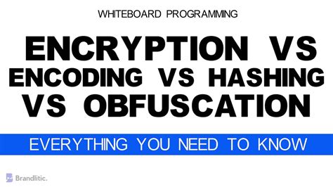 Difference Between Encryption vs Encoding vs Hashing vs Obfuscation Explained - YouTube