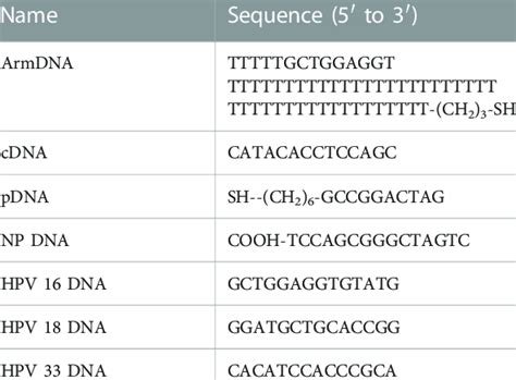 The Nucleotide Sequences Of Oligonucleotides Download Scientific Diagram