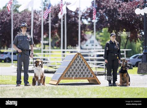 Rescued By Ruby Grant Gustin Left With Ruby 2022 Ph Ricardo Hubbs © Netflix Courtesy