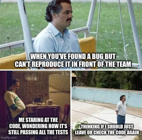 Emperic Geeks On Linkedin Qastruggles Softwarebugs Testersjourney