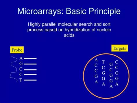 ppt microarrays basic principle powerpoint presentation free