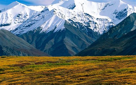 Denali National Park And Mount Mckinley Alaska 4k Wallpaper Download