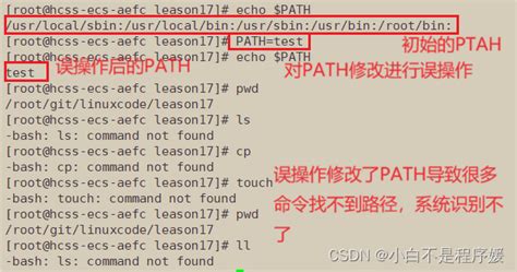 【linux系统化学习】命令行参数 环境变量的再次理解 Csdn博客