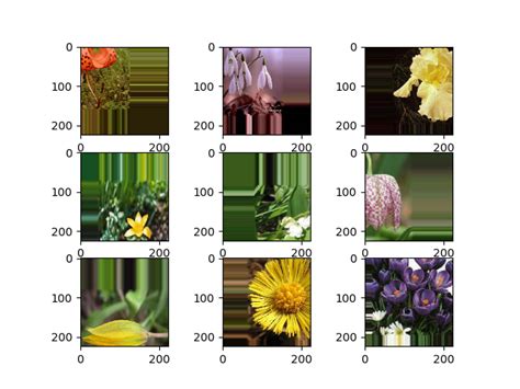 利用keras进行图像增强keras对数据进行旋转加噪等增强 Csdn博客
