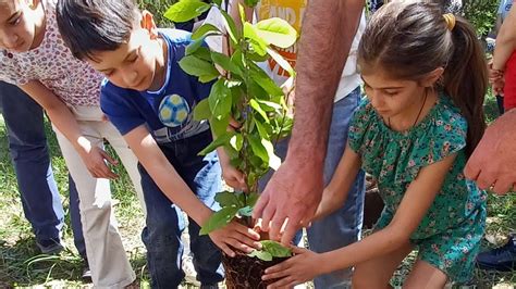 დავაგვიანე ️სკოლის გამწვანება Youtube