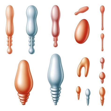 A Collection Of Images Of Different Types Of Light Bulbs Premium AI Generated Vector