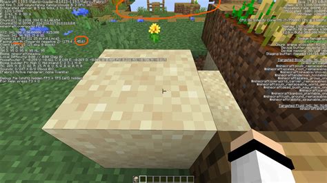Chunk Become Invisible At Least At Specific Position In Specific Seed Issue