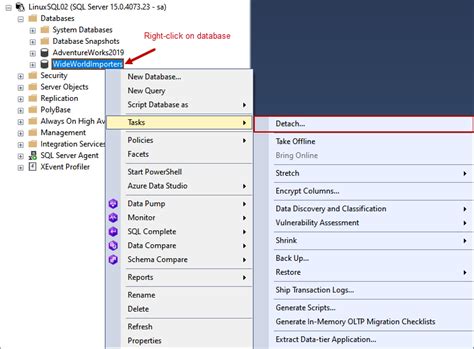 Move Sql Database Files In Sql Server 2019 On Linux 2023