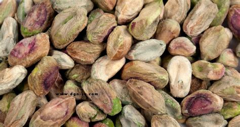 pistachio kernels pistachio