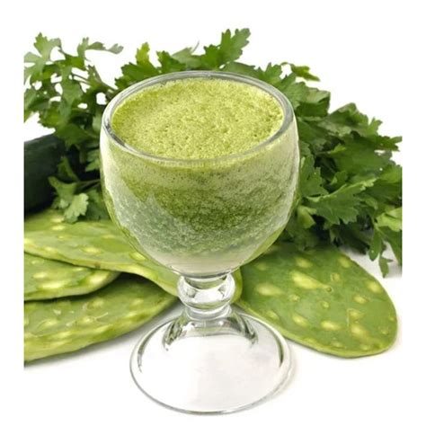Cactus Extract Ingredients Herbs At Best Price In Delhi James Wild Herbs