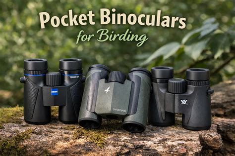 Best Pocket Binoculars For Birding Ready To Go