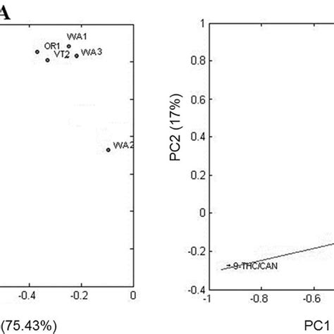 pca outputs for measured gc profiles a score plot and b loading