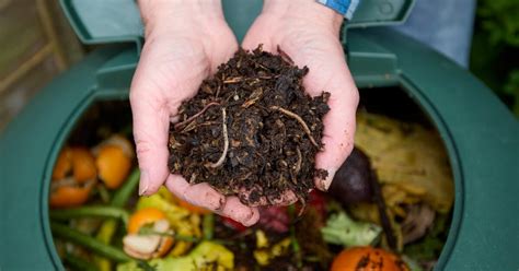 Can You Compost Nut Shells Whats Okay And Whats Not