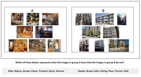 experiment 1 task interface with human explanation presented on the