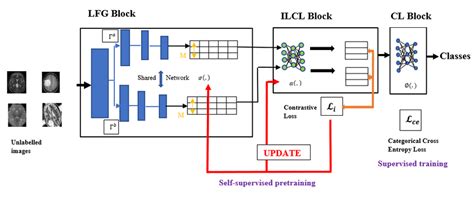 The Block Diagram Of The Proposed Framework The Images Are Subject To