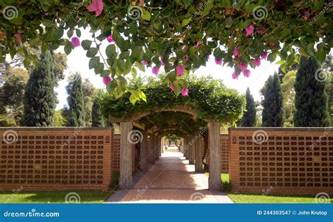 The Military War Cemetery Walkwayss At Springvale Crematorium Stock Image Image Of Recipients
