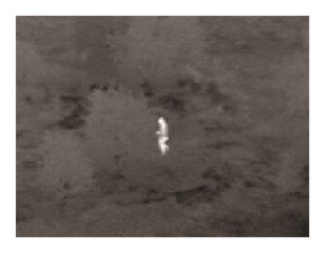 Saliency Maps Generated By Different Fusion Schemes The Salient Object