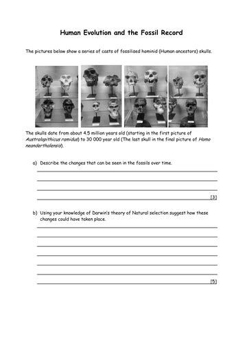 Biology Human Evolution And Fossils Teaching Resources