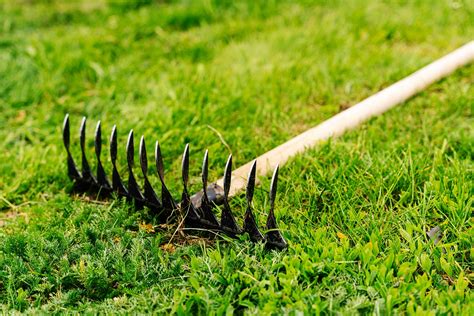 When To Rake Your Lawn Best Times For Lawn Care In The UK
