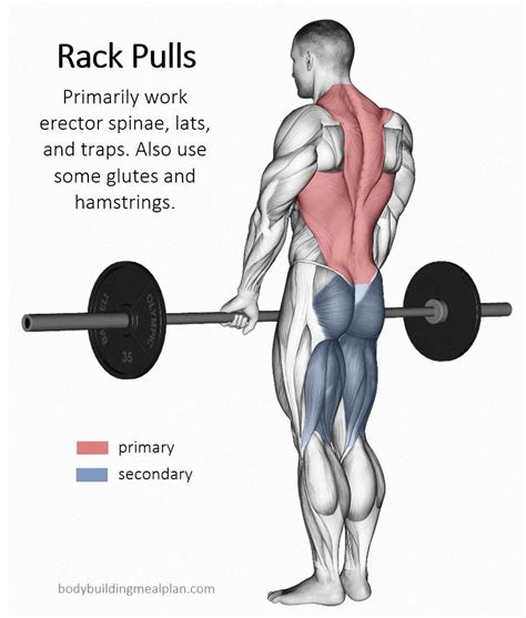 How To Do The Rack Pulls Exercise To Build A Thick Brick Wall Back