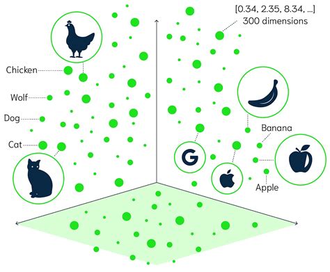 understanding ai vectors and vector database