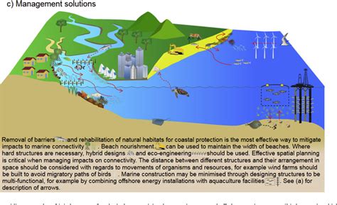 Figure 1 From Effects Of Ocean Sprawl On Ecological Connectivity Impacts And Solutions
