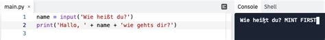 So Funktioniert Die Input Funktion In Python Mint First