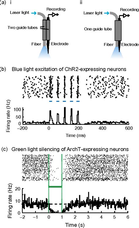 Figure 4 From Optogenetics In The Nonhuman Primate Semantic Scholar