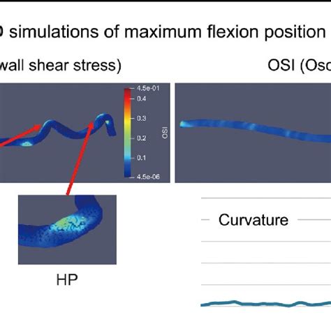 Computational Fluid Dynamics Cfd Simulations Of The Maximum Bending Download Scientific