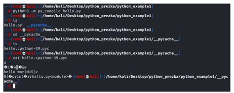 Compilation Vs Interpretation Part 3 Applications And Software For