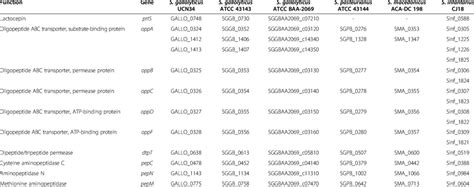 Genes In The Streptococcus Bovis Streptococcus Equinus Complex Download Table