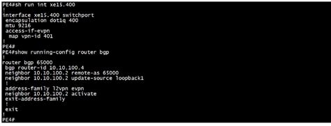 Evpn Elan Single Homed And Multi Homed Solutions With Isis Sr And Ti Lfa Ip Infusion