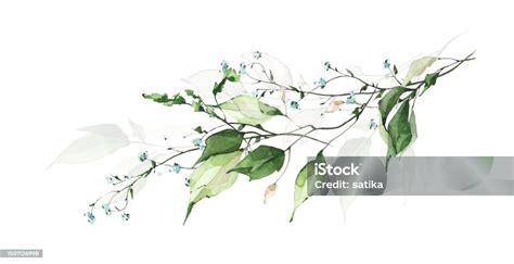 녹지 배열 수채화 물감 그렸습니다 나뭇가지 녹색 잎 황금색 선과 먼지 요소가 있는 꽃다발 0명에 대한 스톡 벡터 아트 및 기타 이미지 Istock