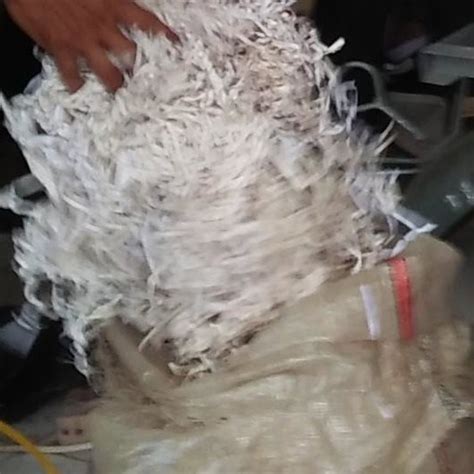 Big Blender Frames In Assembling Download Scientific Diagram