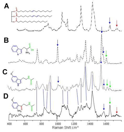 Inner Plexiform Layer Signal Compared With Reference Compounds All Inner Plexiform Layer Signal Compared With Reference Compounds All