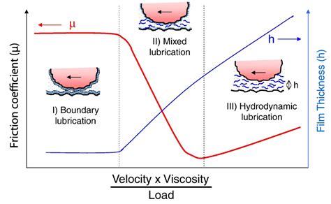 Lubricants Free Full Text Experimental Investigations Of Biological Lubrication At The