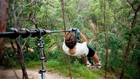 TreeTop Challenge Mt Tamborine Scenic Rim
