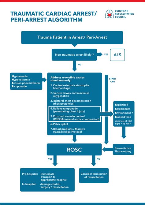 European Resuscitation Council Guidelines 2021 Cardiac Arrest In