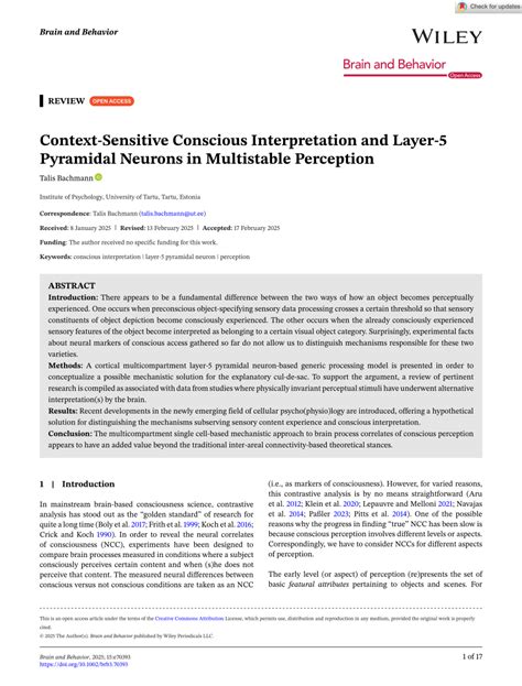 Pdf Context‐sensitive Conscious Interpretation And Layer‐5 Pyramidal